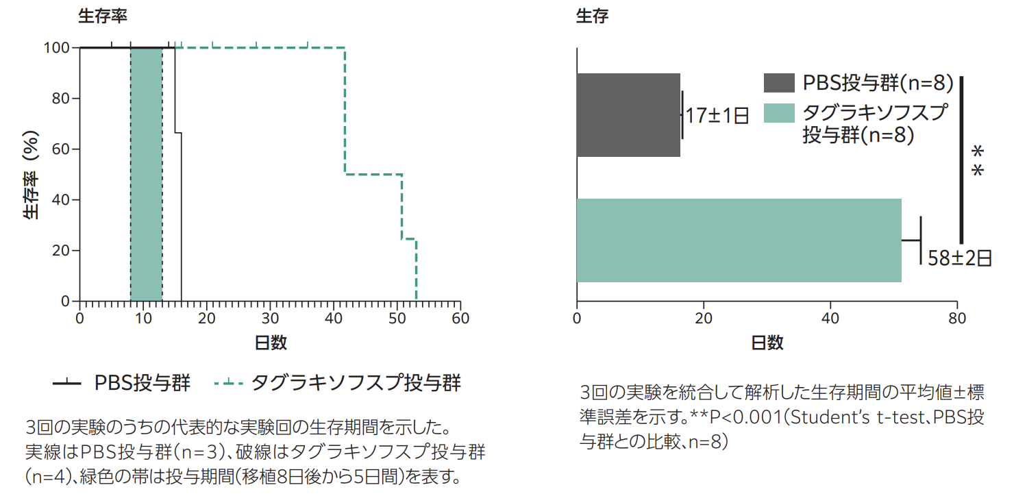薬効薬理｜製品情報概要｜エルゾンリス®点滴静注1000μg｜製品一覧｜日本新薬株式会社