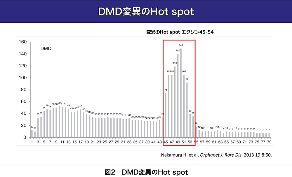 ビルトラルセン開発ストーリー｜ビルテプソ®点滴静注250mg｜製品情報－製品一覧｜日本新薬株式会社