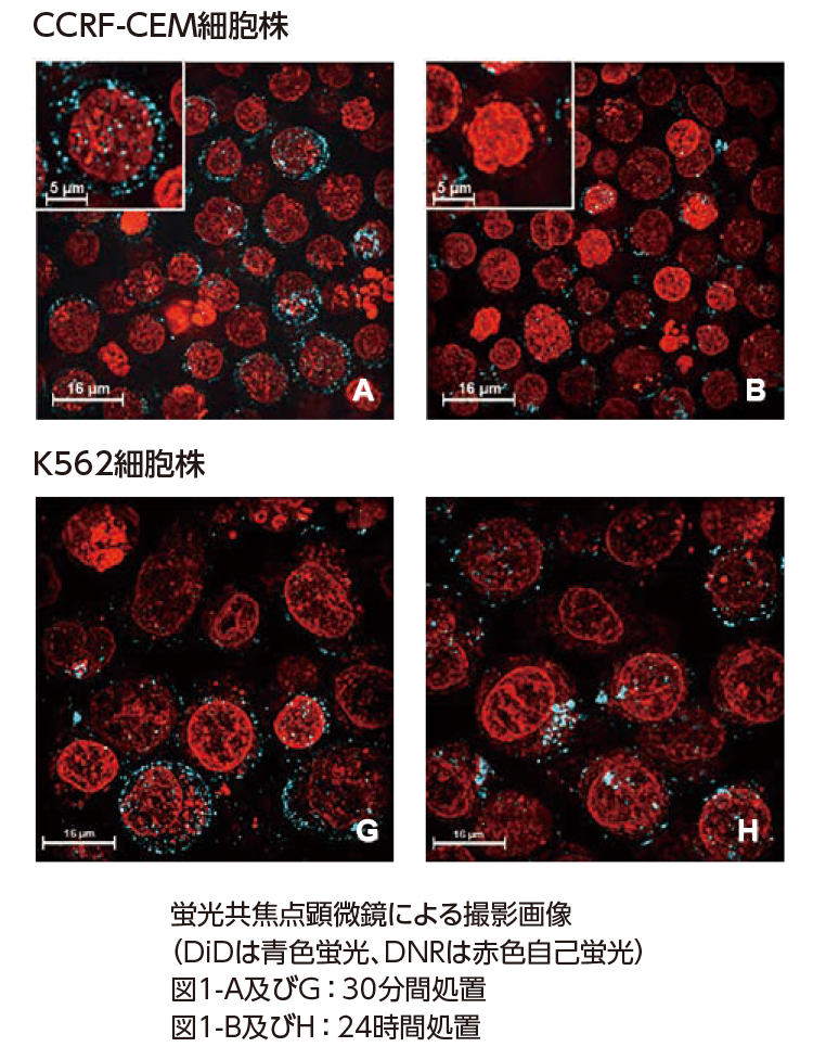 薬効薬理｜製品情報概要｜ビキセオス®｜製品情報－製品一覧｜日本新薬株式会社